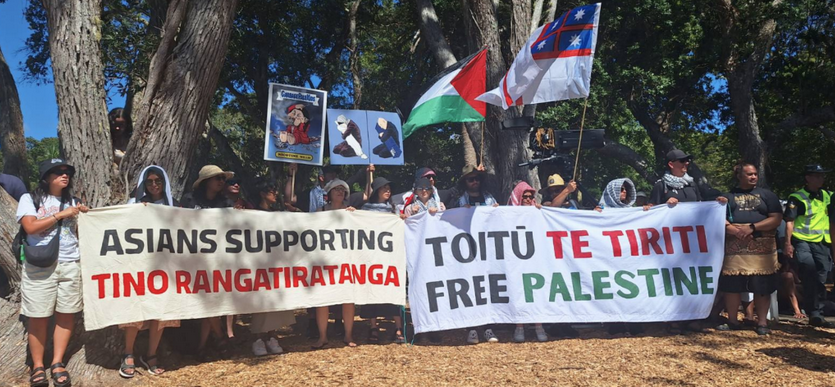 Māori advocate Tina Ngata hails ‘overwhelming’ indigenous support for ...