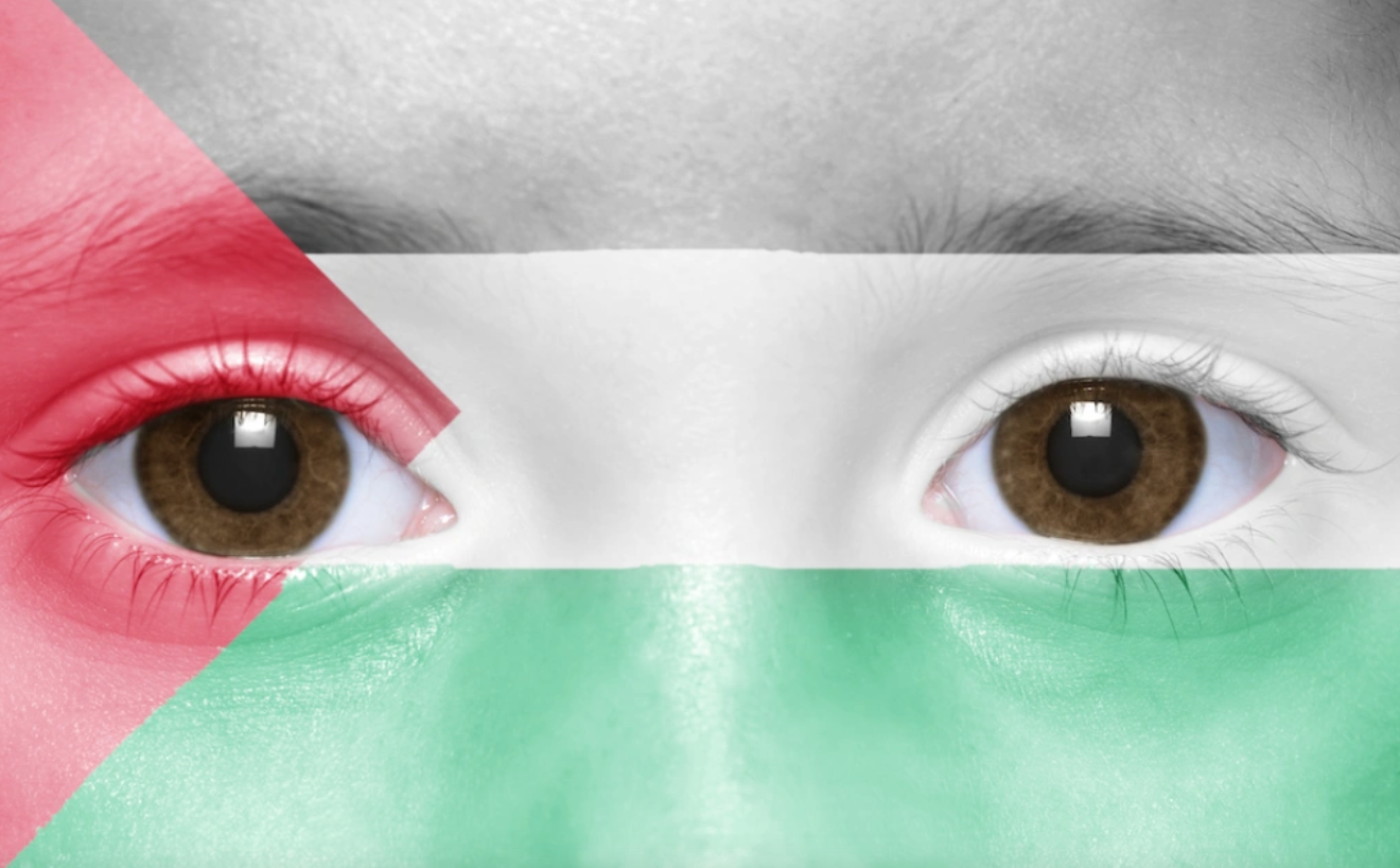 Caitlin Johnstone: Getting Gaza right is the absolute bare minimum ...