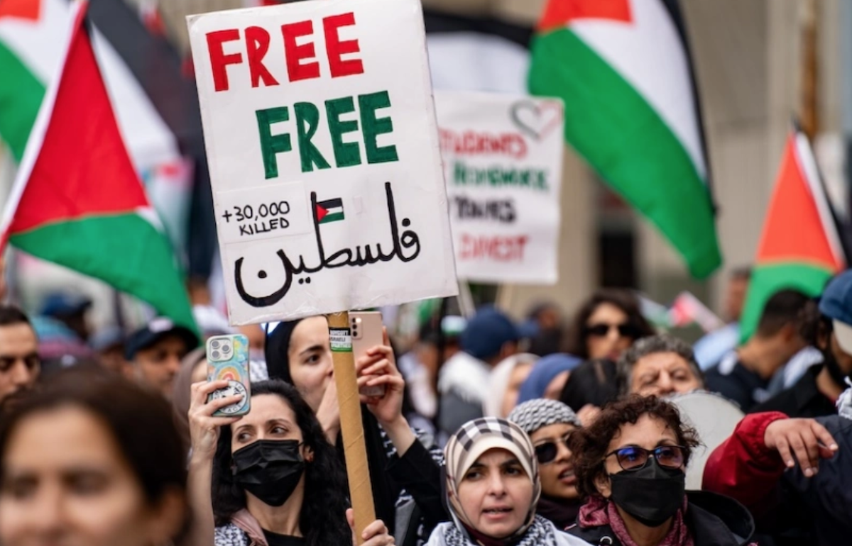 Caitlin Johnstone: 'Why should I care about Gaza?' - Café Pacific ...
