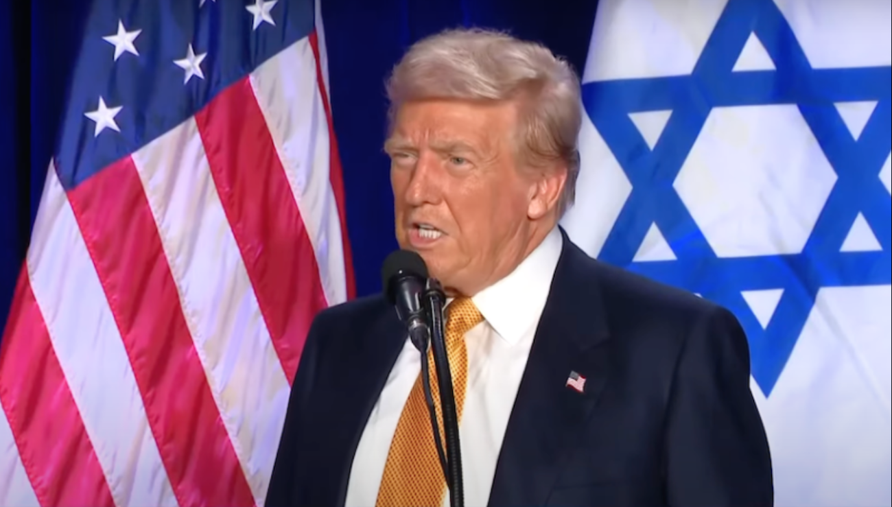 Caitlin Johnstone: 'America First' means stomping out free speech in ...