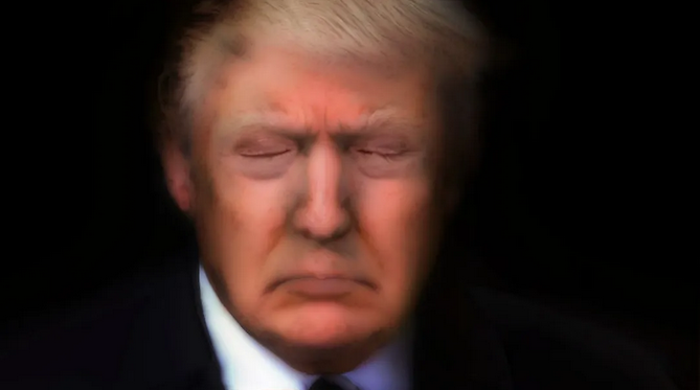 Caitlin Johnstone: Jordan and Egypt snub Trump's ethnic cleansing plan ...