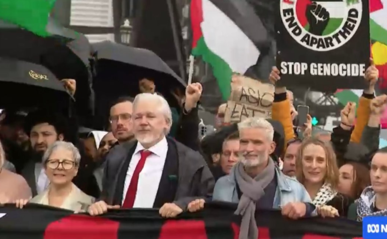 Caitlin Johnstone: Dare to hope over Palestine and justice - Café ...